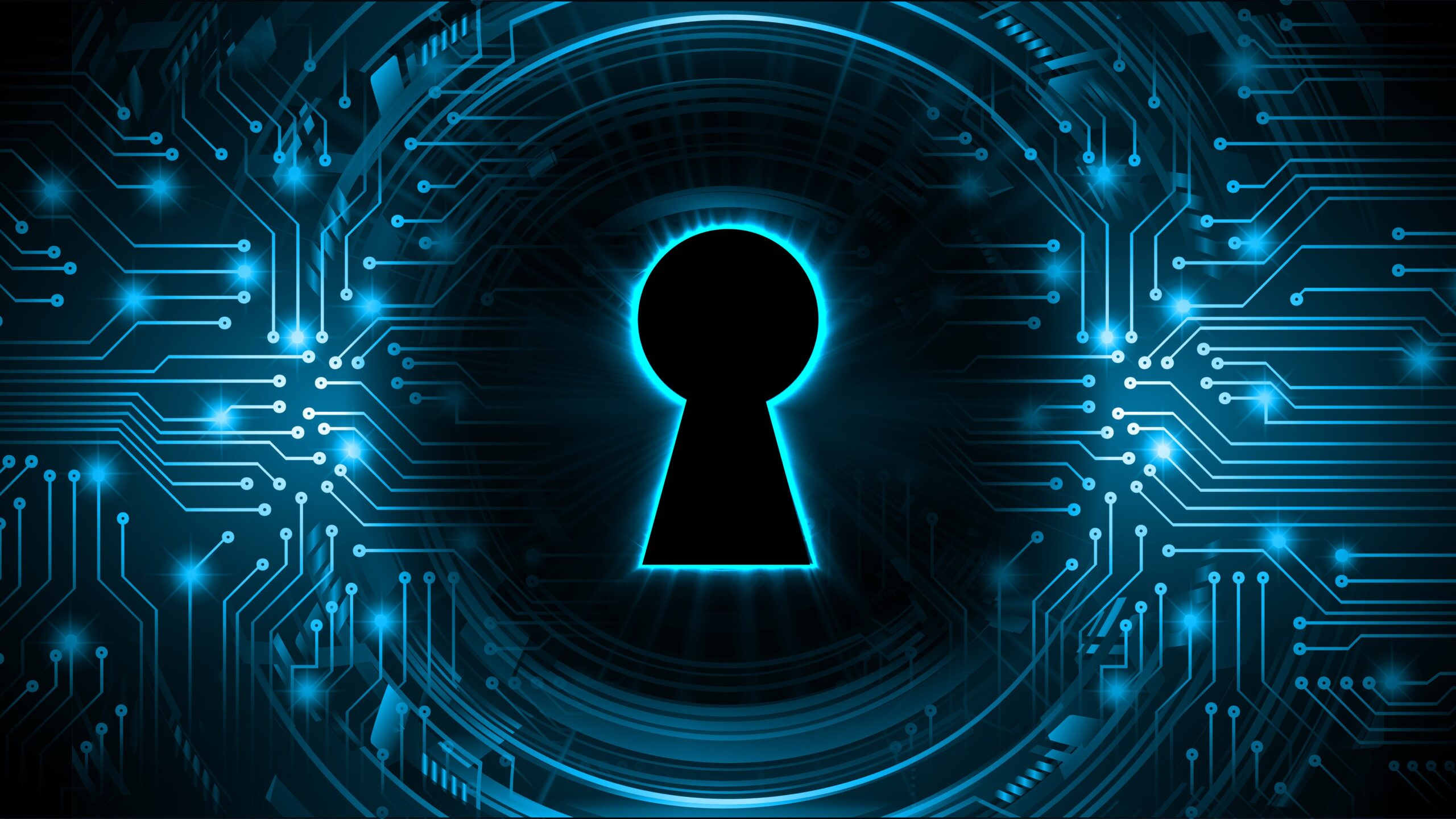 School Cyber Attacks Cost Money, Threaten Student Privacy - EdNews Virginia